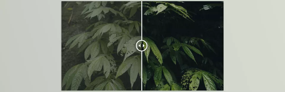 Film Space - Justkay Sony Slog Luts Download