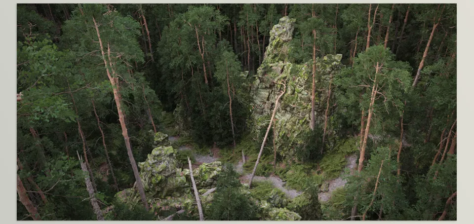 Blender - Dynamic Pine Biomes Download