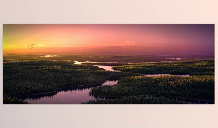 Blender - Alpha Trees Pro Download v2.3.6 (Render Massive Forests, Fast)